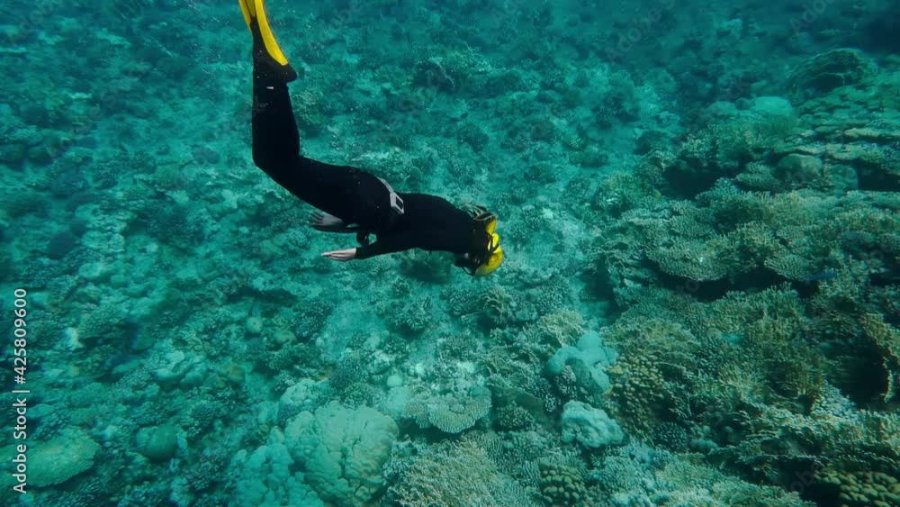 Elegant diver floating under the water. Girl depicting fish diving to ...