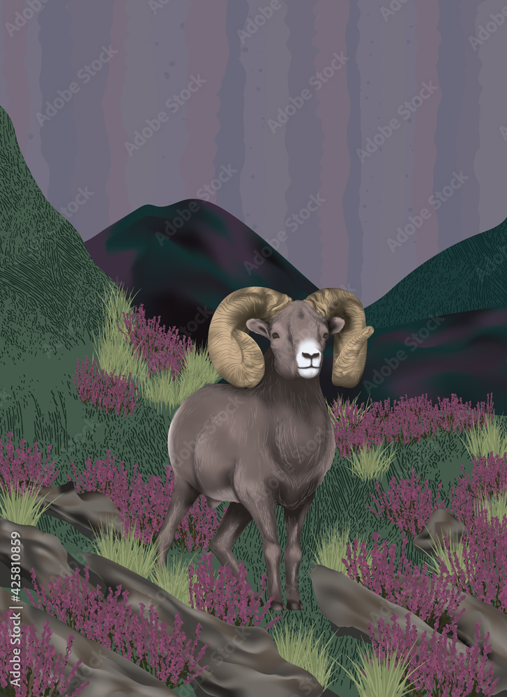 Ram stands on the green heel. Wild goat male stands at the base of the ...