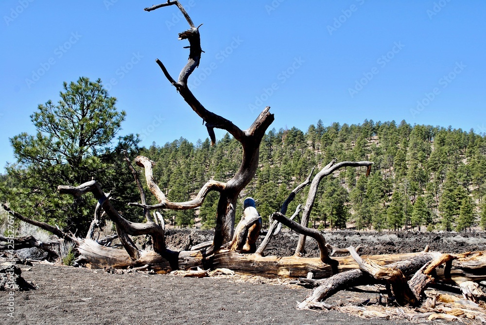Sunset Crater Volcano National Monument features a cinder cone volcano ...