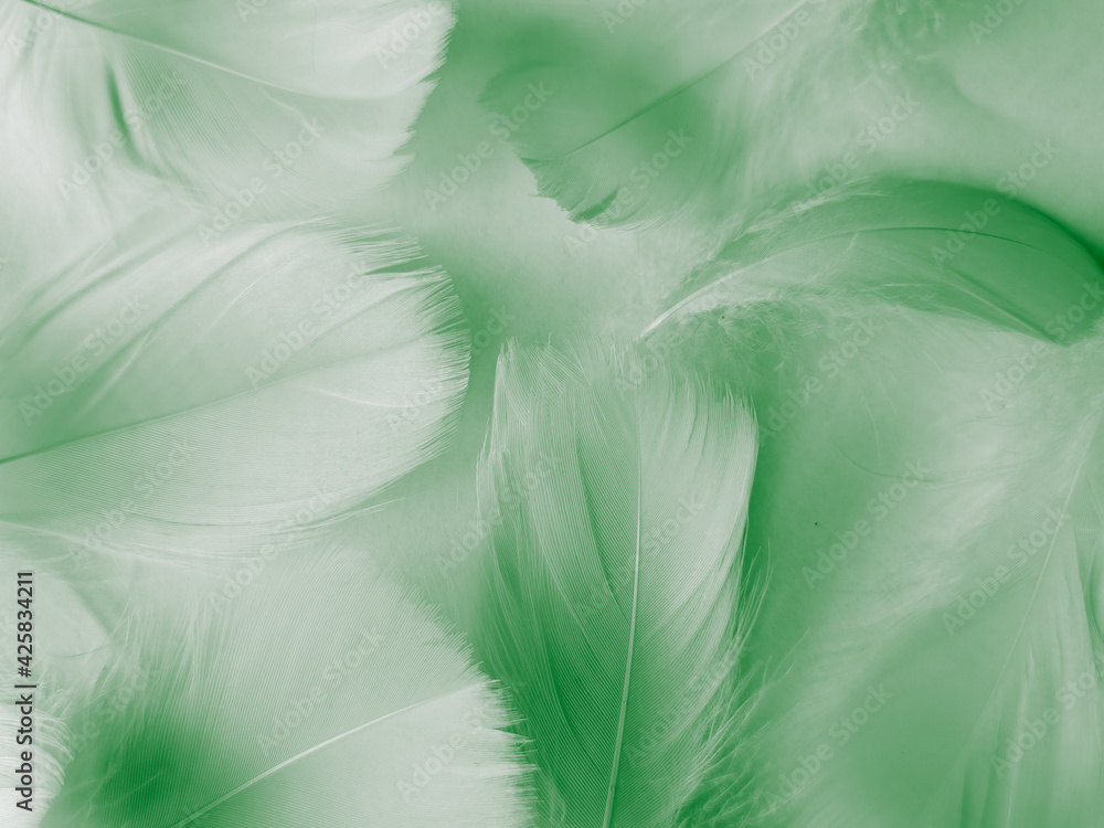Beautiful abstract green feathers on white background, yellow feather ...