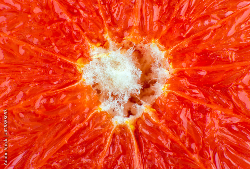 Grapefruit texture inside on the white background. Citrus close up ...