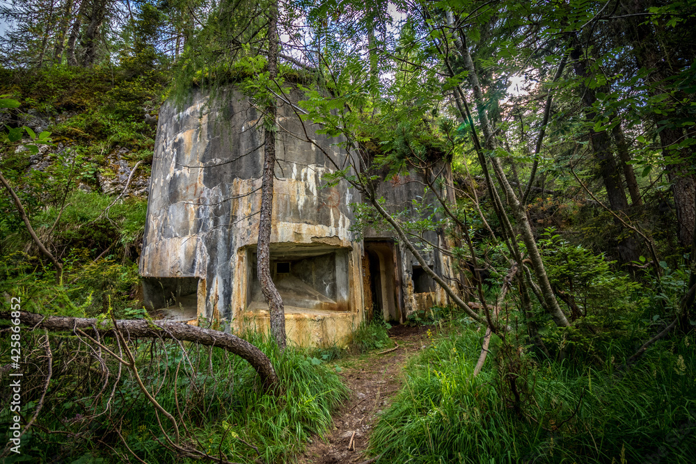 Abandoned, destoyed concrete bunker with embrasure in summer forest ...