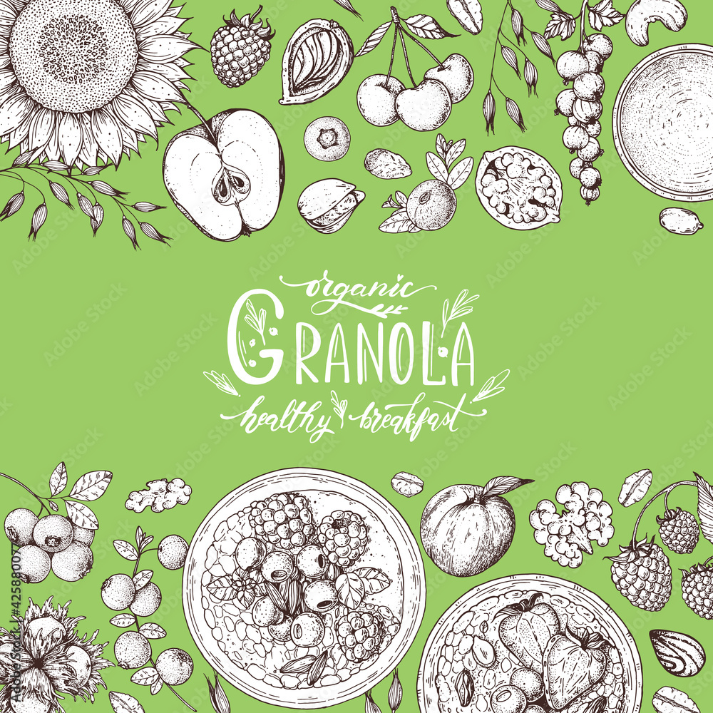 Granola ingredients illustration. Oat flakes , berries, fruits and nuts ...