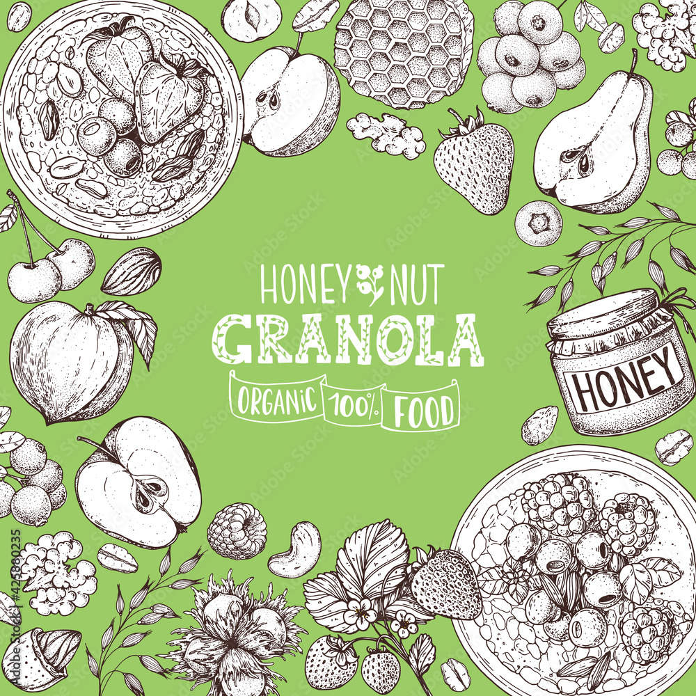 Granola ingredients illustration. Oat flakes , berries, fruits and nuts ...