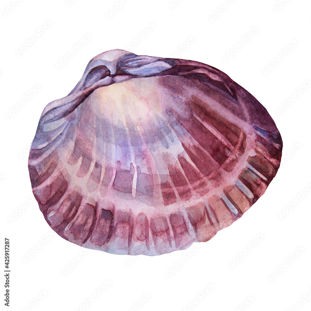 Watercolor pink brown sea shell with pearl isolated on white background ...