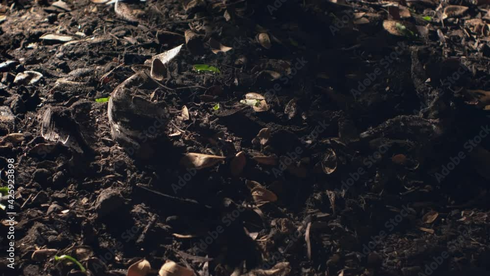 Time-lapse of long lifecycle of plastic trash in soil. Environmental ...