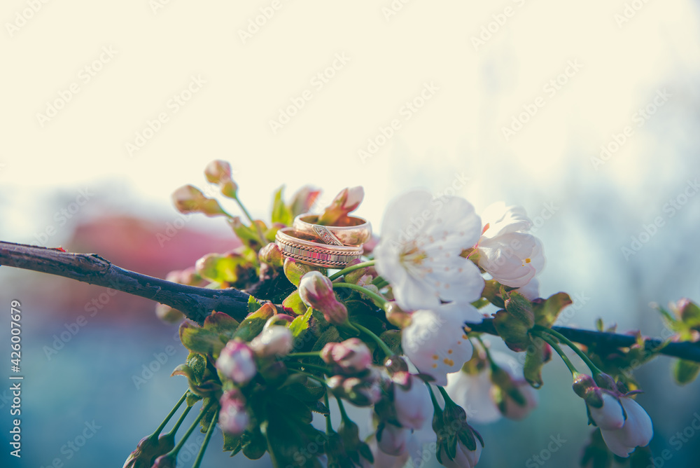 Wedding rings on flower, wedding background Stock Photo | Adobe Stock