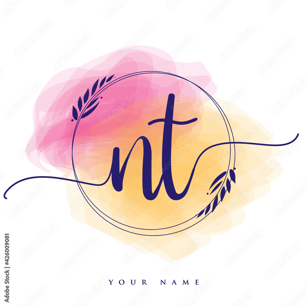 NT Initial handwriting logo. Hand lettering Initials logo branding ...