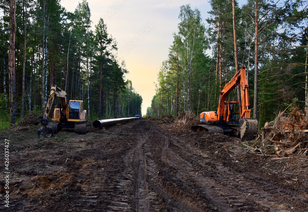Excavator during clearing forest for Construction Gas Pipeline. Tracked ...