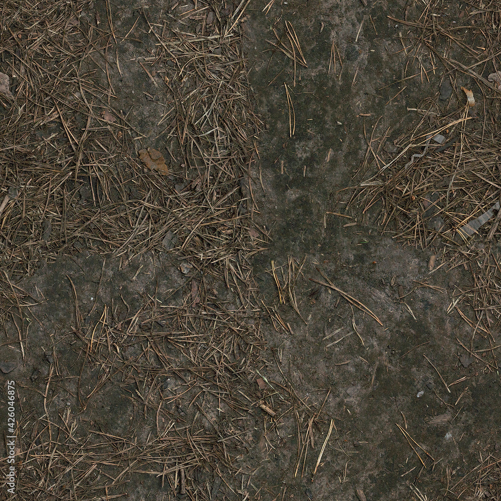 Seamless forest dirty ground texture Stock Photo | Adobe Stock