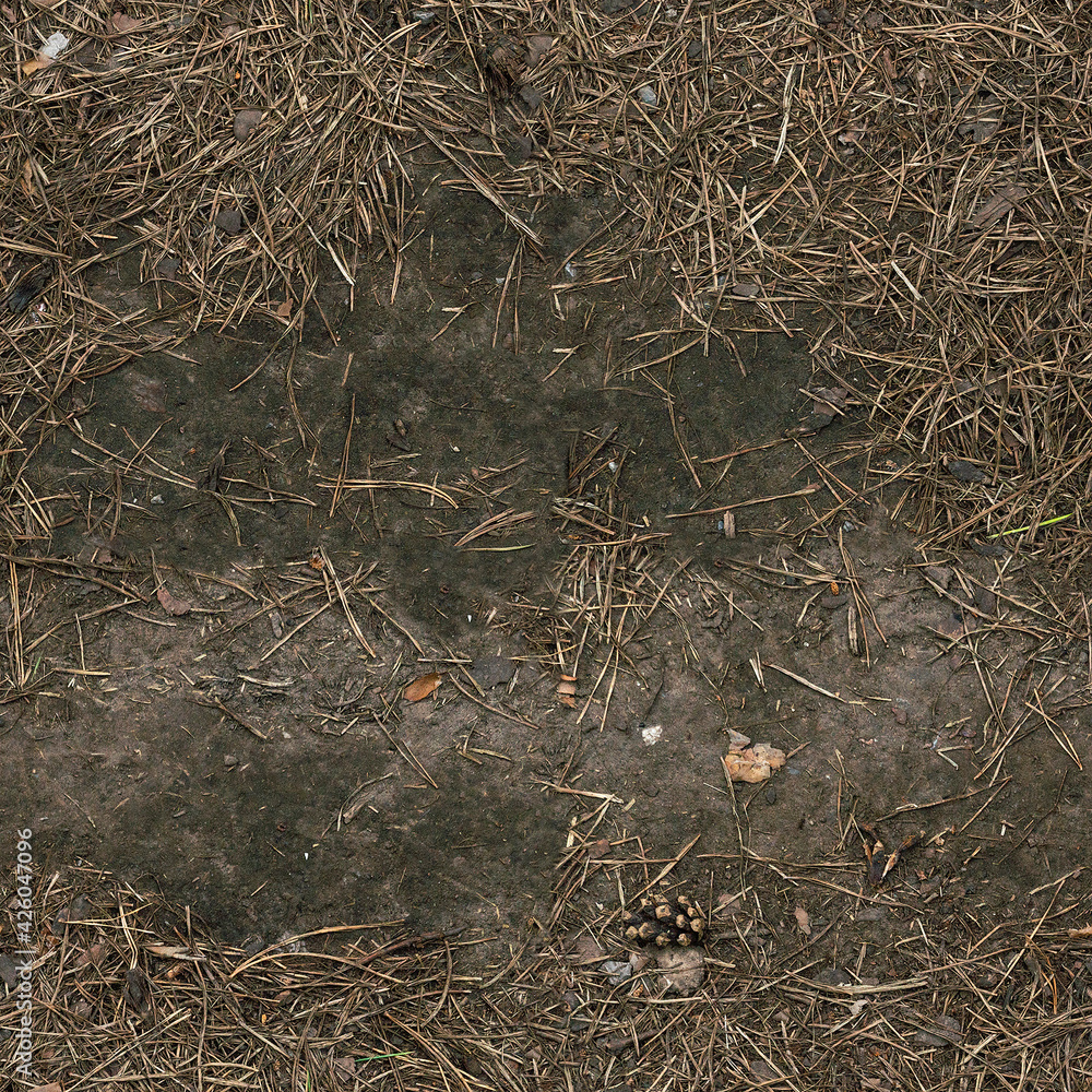 Seamless forest dirty ground texture Stock Photo | Adobe Stock