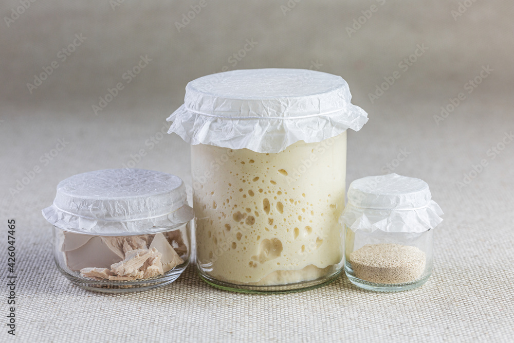Different types of yeast for the preparation of bread products. Dry ...