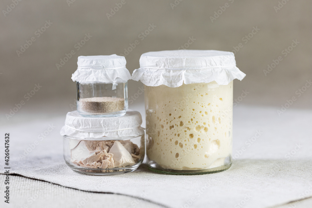 Different types of yeast for the preparation of bread products. Dry ...