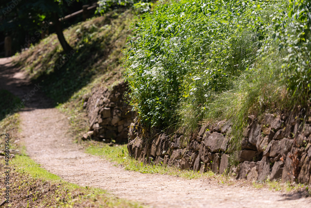 The path that goes under the rock. A trampled path with a paved ...