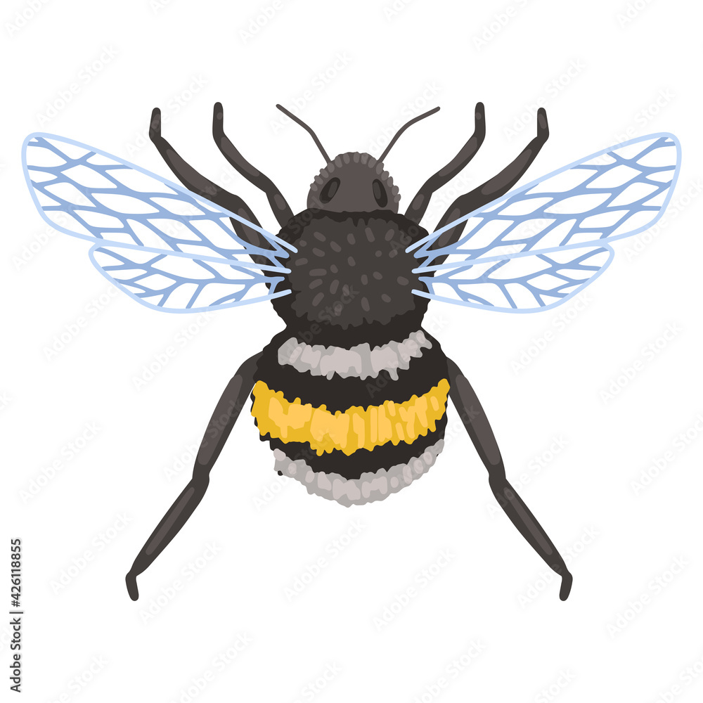 Bumblebee flying on a snake, top view. Childrens cute illustration ...
