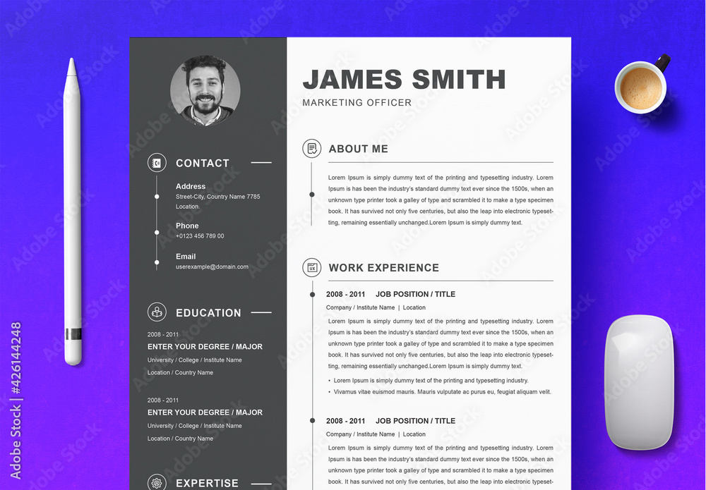Professional Resume Layout Stock Template | Adobe Stock