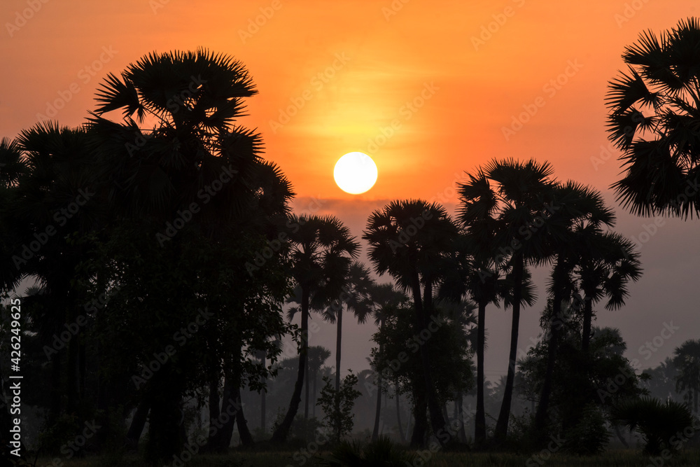 The beautiful sunset images taken in Rural India. Stock Photo | Adobe Stock