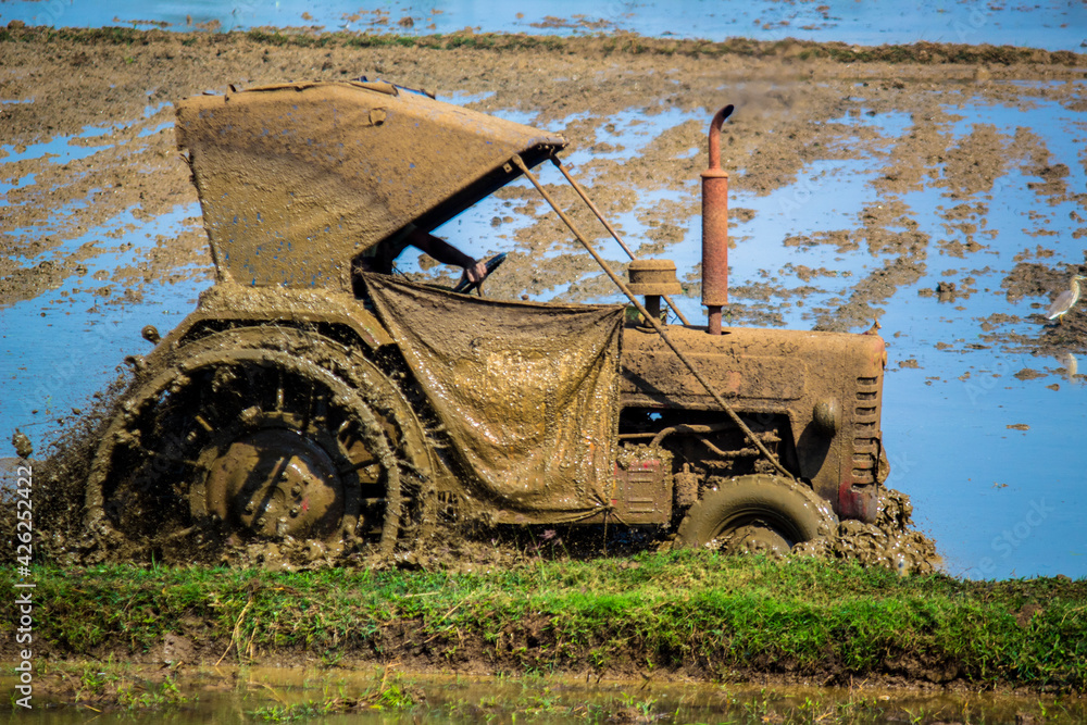 Indian agriculture. Cultivating the lands with the help of Tractors ...