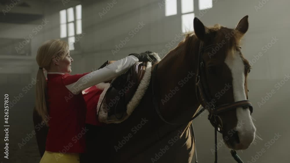 Woman Put and Removing Saddle Seat from Horse Back. Young Girl Jockey ...