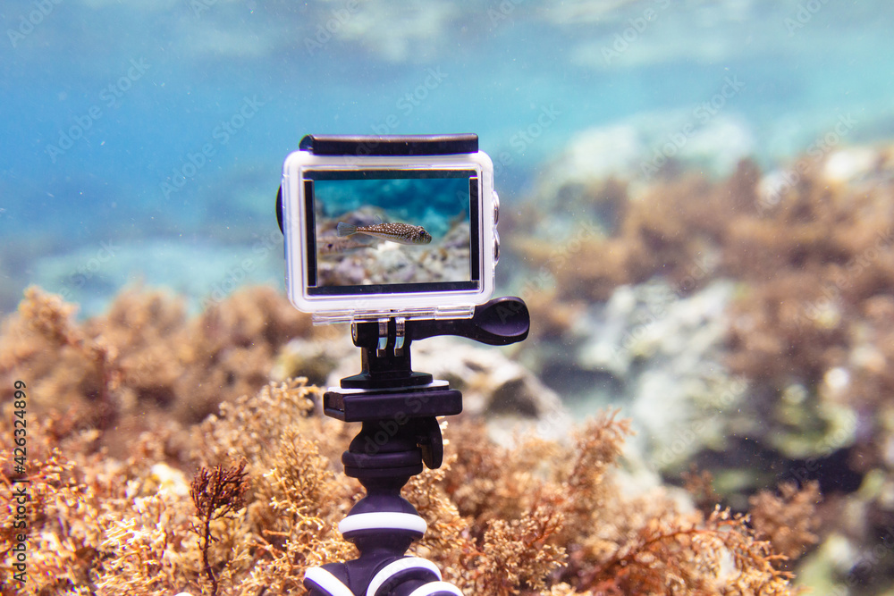 Using action-camera in waterproof box to make photos and video ...