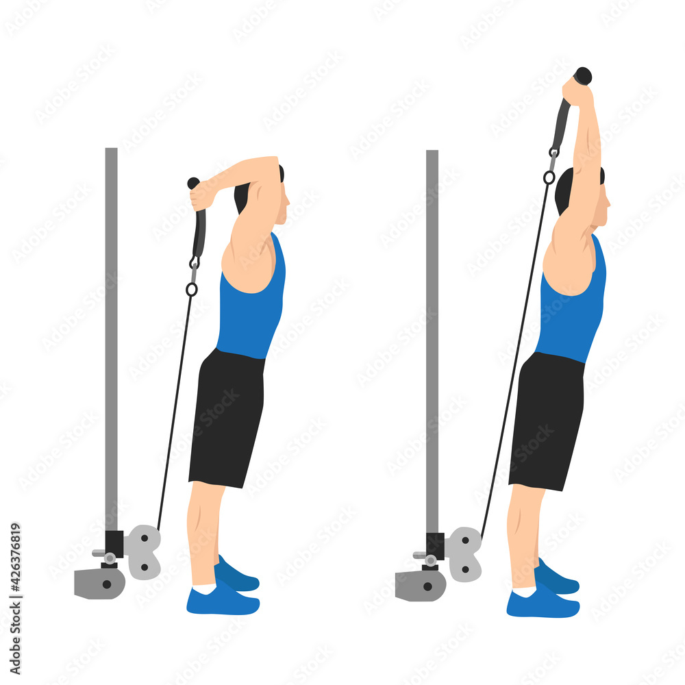 Man doing cable rope overhead triceps extensions flat vector ...