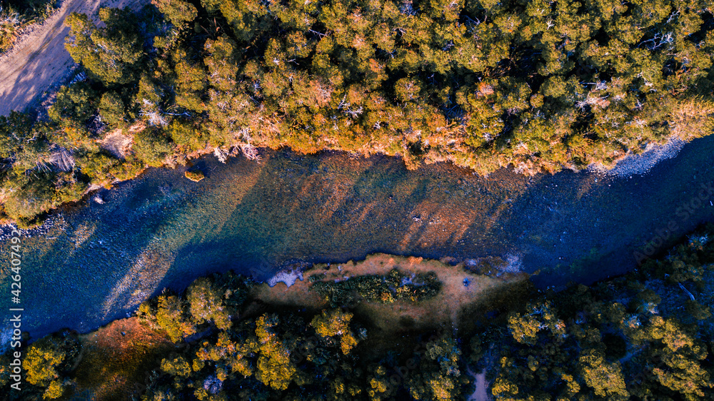 vista cenital de un rio del sur argentina, abriéndose camino entre las ...