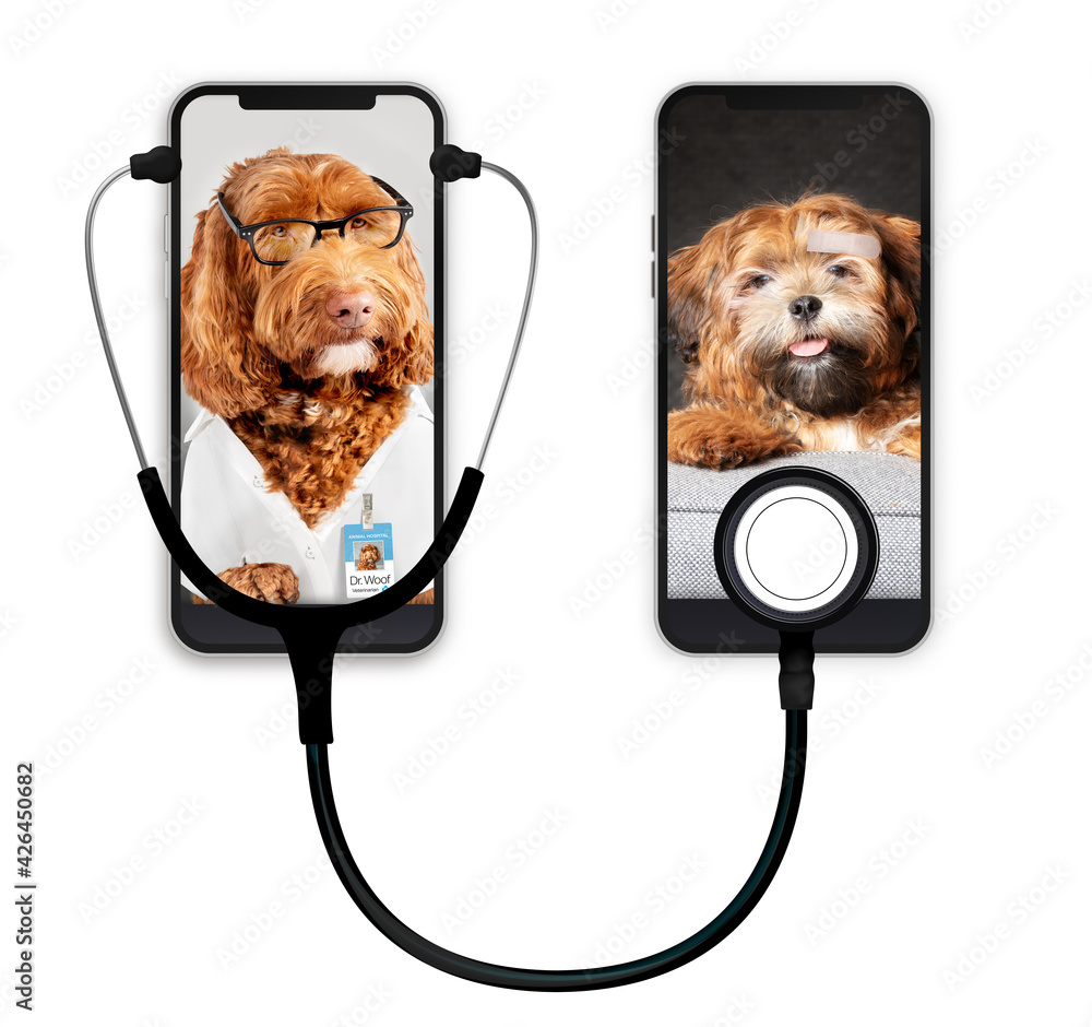 Medical call service concept, pet themed. Phones connected with a ...