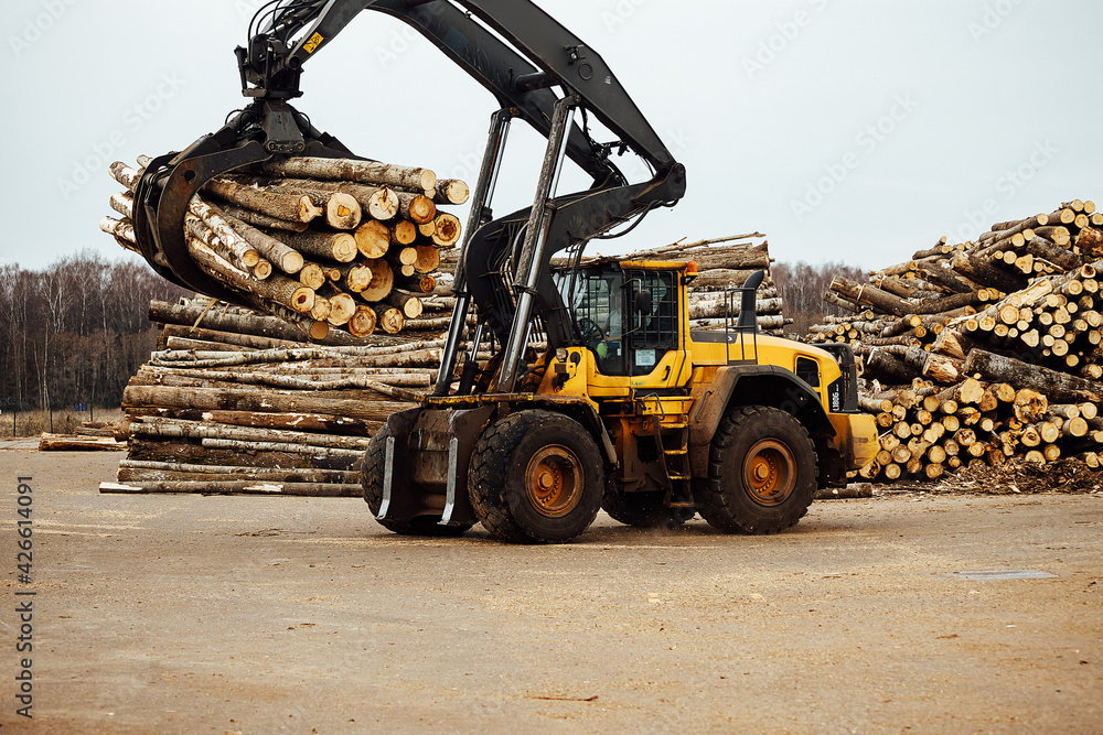 the front loader transports the harvested wood in the factory ...