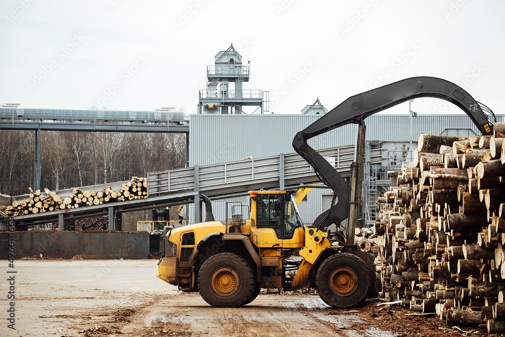 the front loader transports the harvested wood in the factory ...