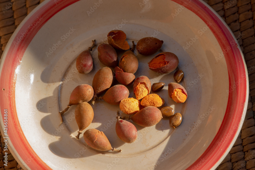 Velvet tamarind (Dialium cochinchinense) african wild fruit locally ...