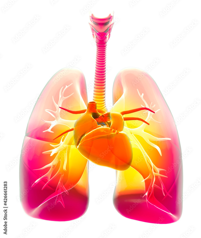 Shortness of breath, difficulty in breathing, acute and chronic dyspnea ...