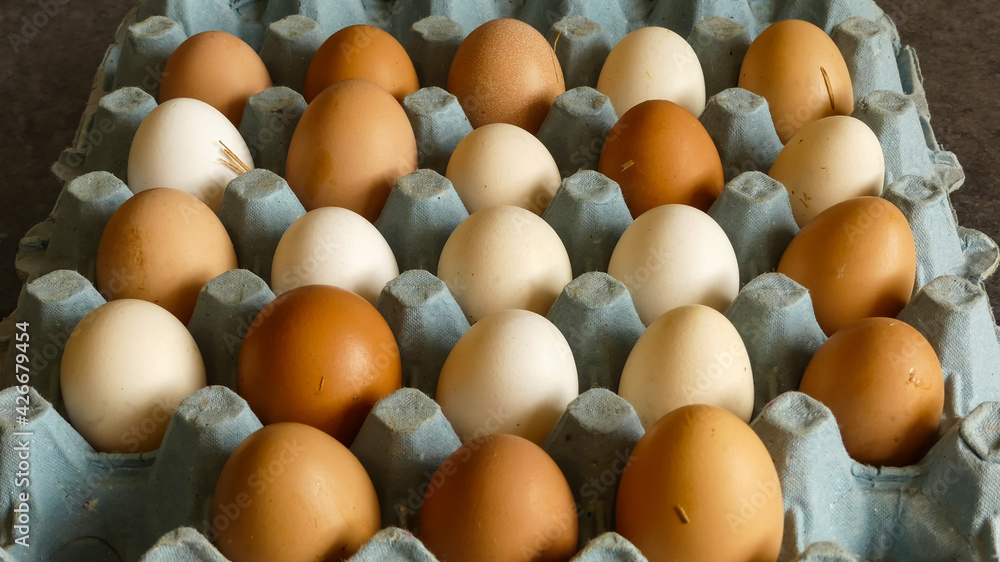 Freshly gathered batch of free range bantam chicken eggs, collected on ...