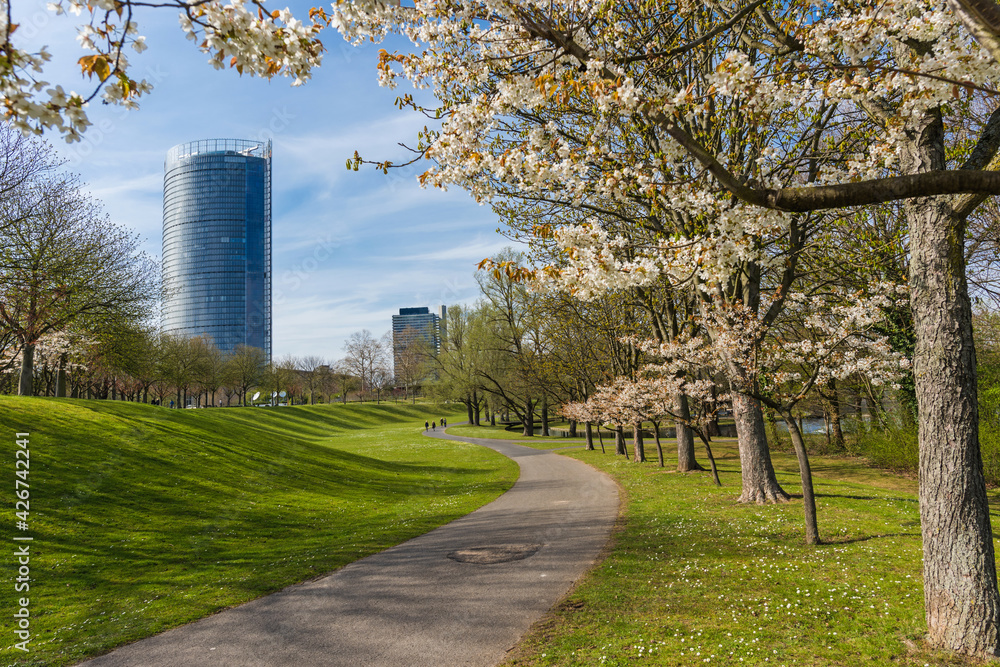 Der Rheinaue Park in Bonn im Frühling, Deutschland Stock Photo | Adobe ...