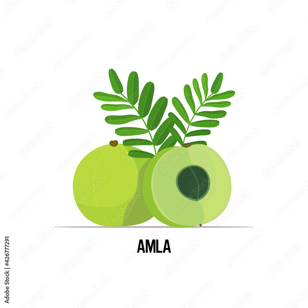 fresh juicy amla indian gooseberry icon tasty ripe fruit isolated on ...