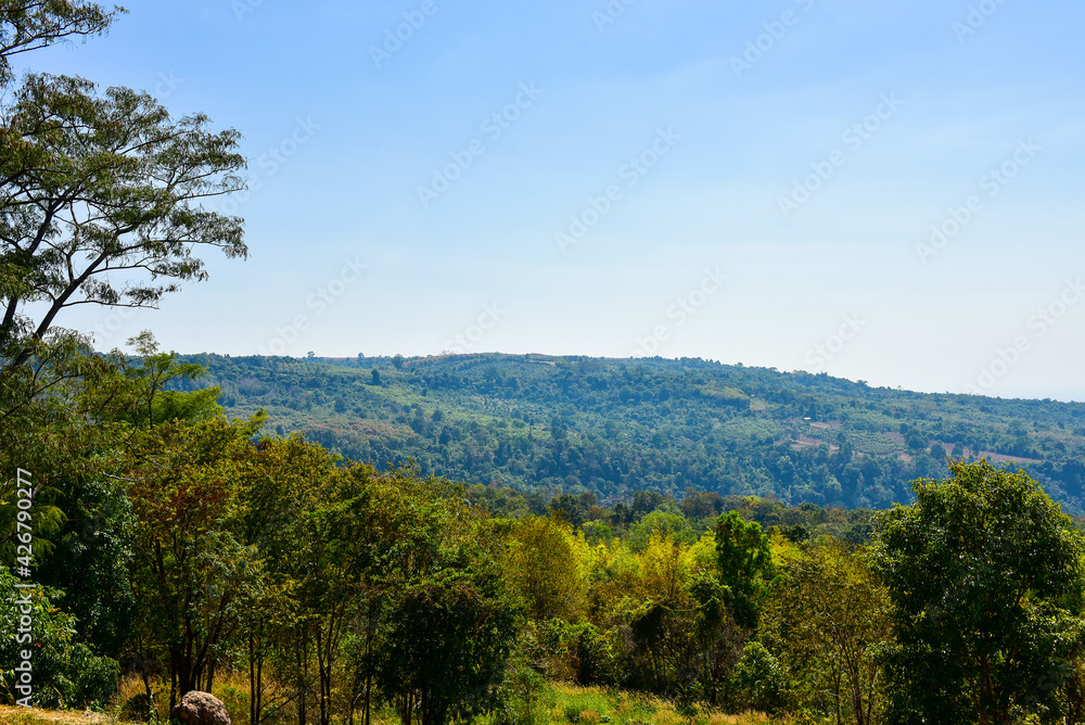 Loei Province Thailand Phu Kradueng National Park. Is one of the ...
