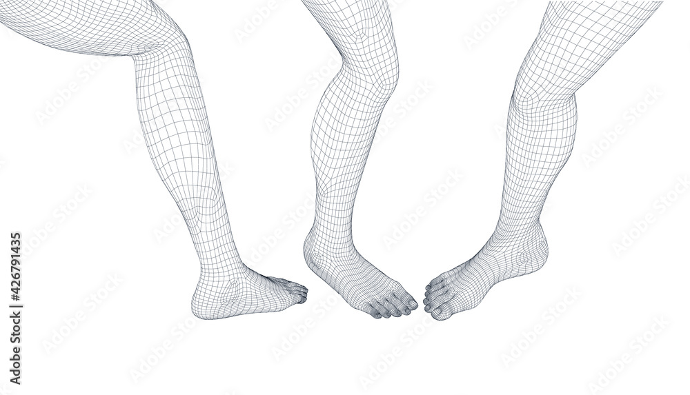 Human body parts. Foot wireframe vector. Stock Vector | Adobe Stock