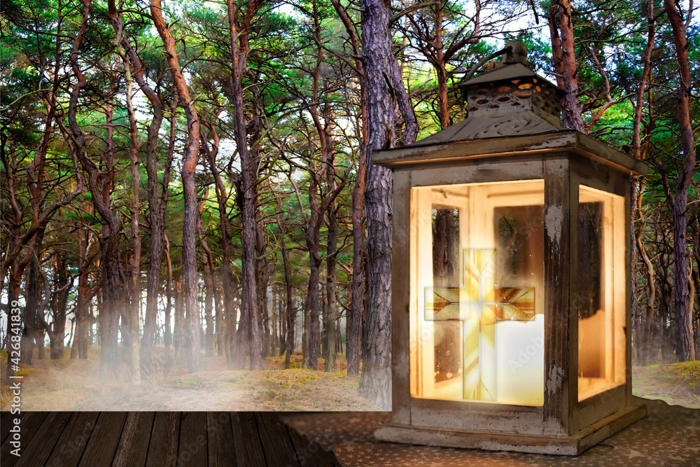 Foto de Friedwald- forest cemetery. natural funerals in woodland ...