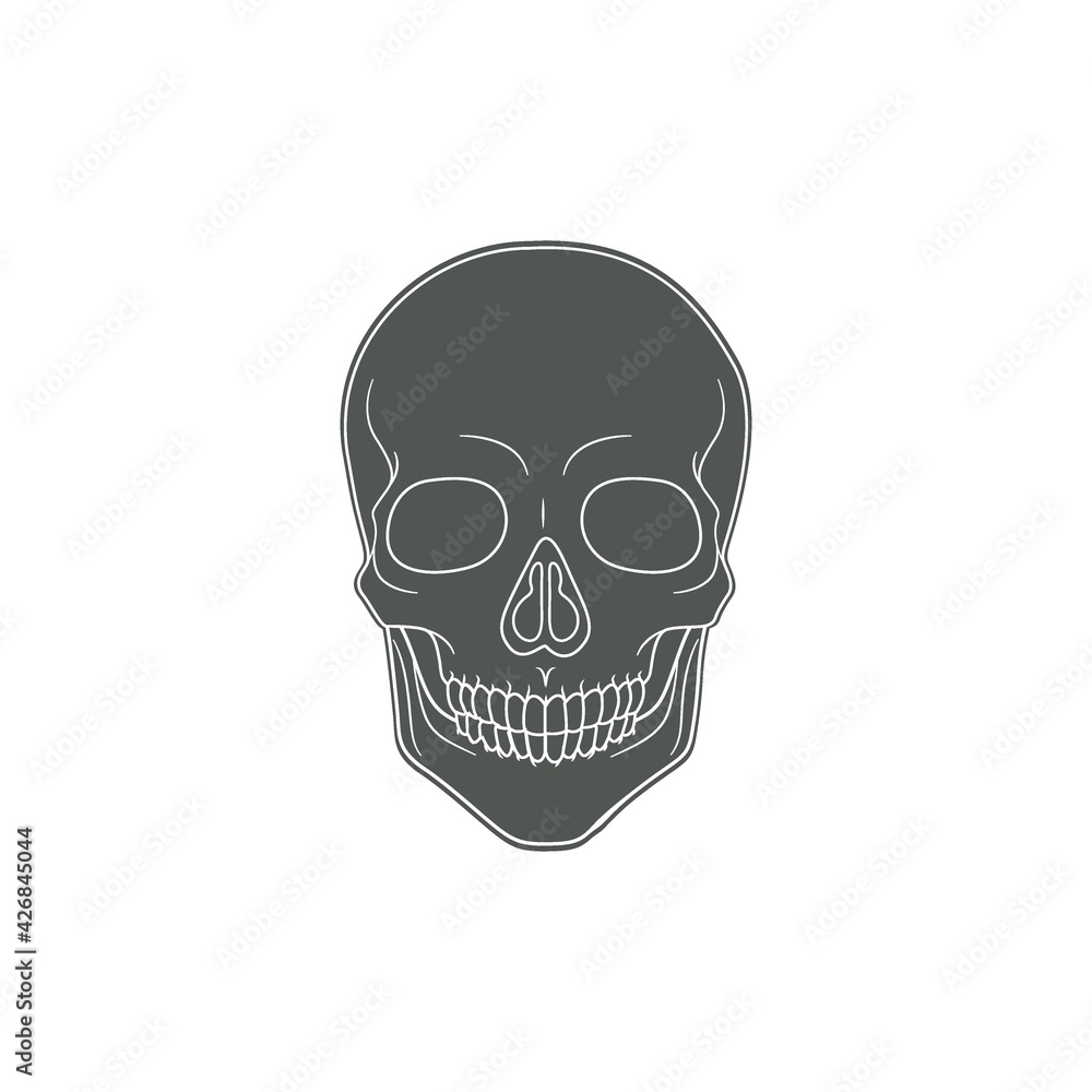 Modern Minimalist Human Skull Icon Vector Illustration. Simple skeleton ...