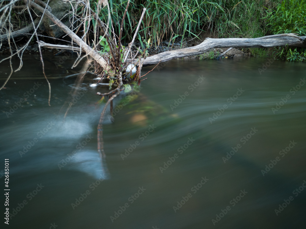 Creek flow over fallen dead tree with dry branches above water surface ...