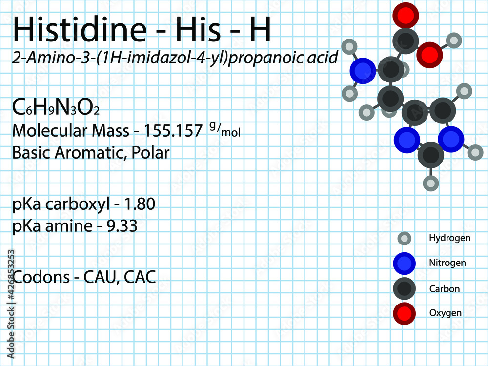 Amino Acid Codon Histidine at Santiago Vanmatre blog
