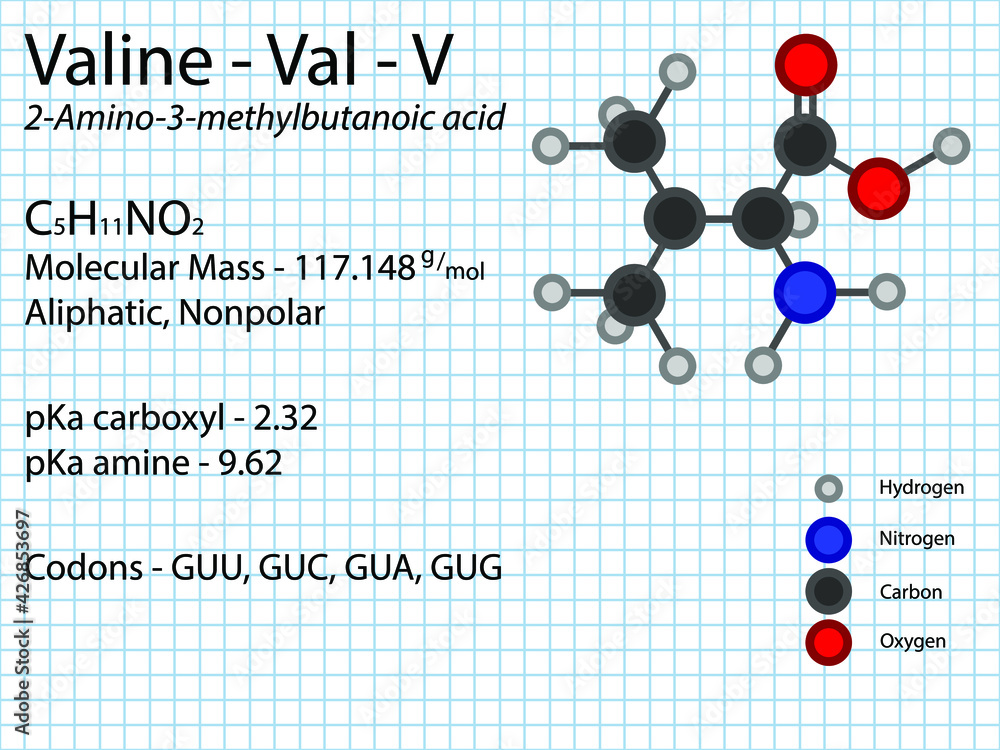 Valine - Val - V - Essential Amino Acid molecular formula, chemical ...
