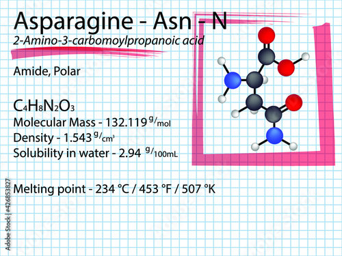 Asparagine - Asn - N - Non Essential Amino Acid molecular formula ...