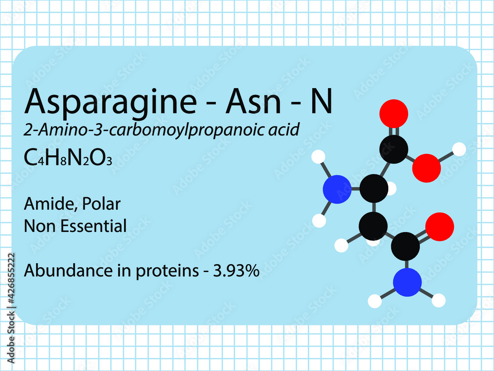 Asparagine - Asn - N - Non Essential Amino Acid molecular formula ...