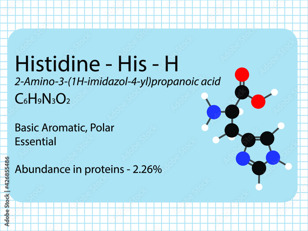 Histidine - His - H - Essential Amino Acid molecular formula, chemical ...