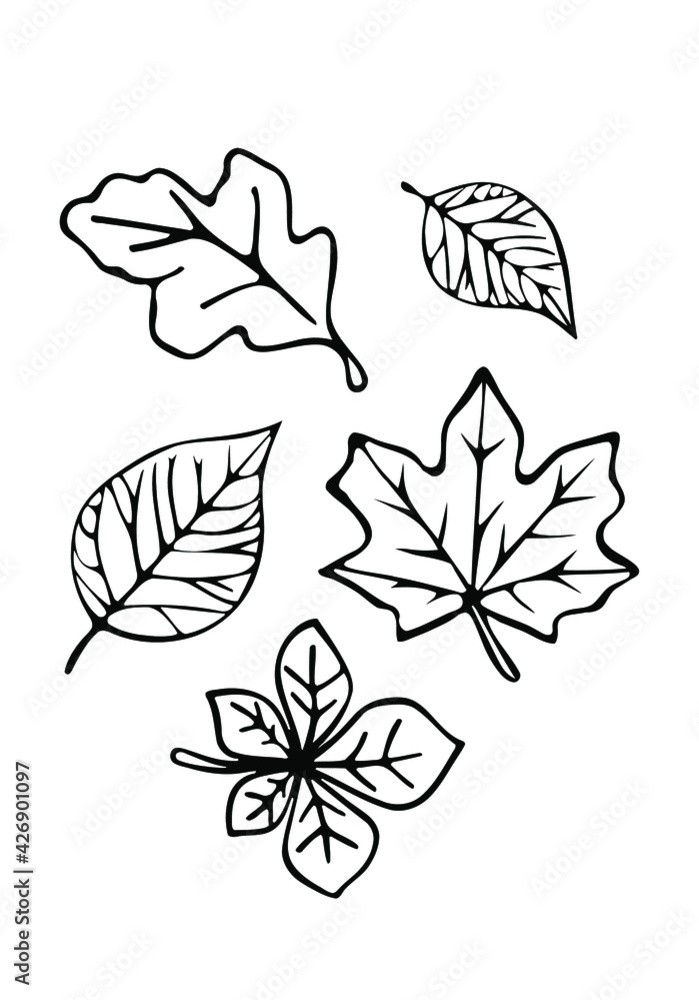 Vector Fall Leaves set of autumn trees Silhouette Outline Black Line ...