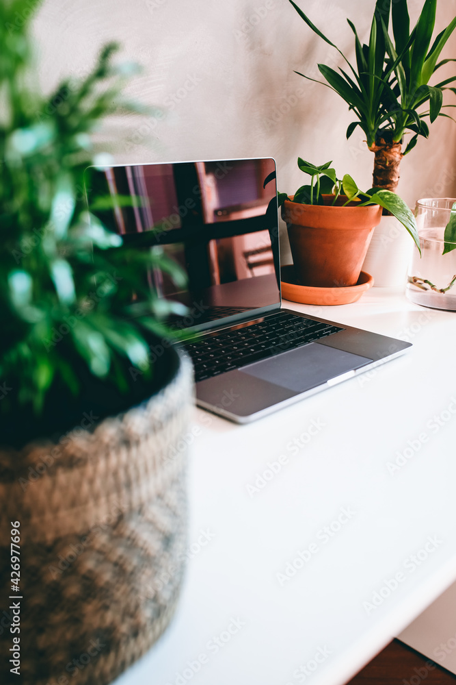 Black screen laptop workstation in home or office with green tropical ...