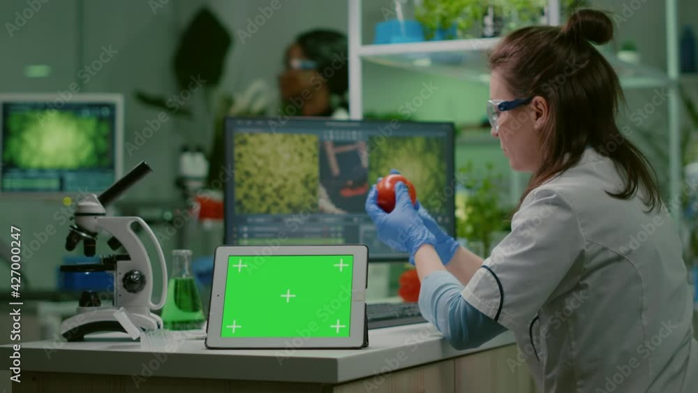 Video Stock Chemist researcher typing microbiology expertise on ...