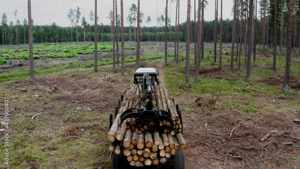 Back view of industrial wood carrier cargo vessel truck trailer with ...