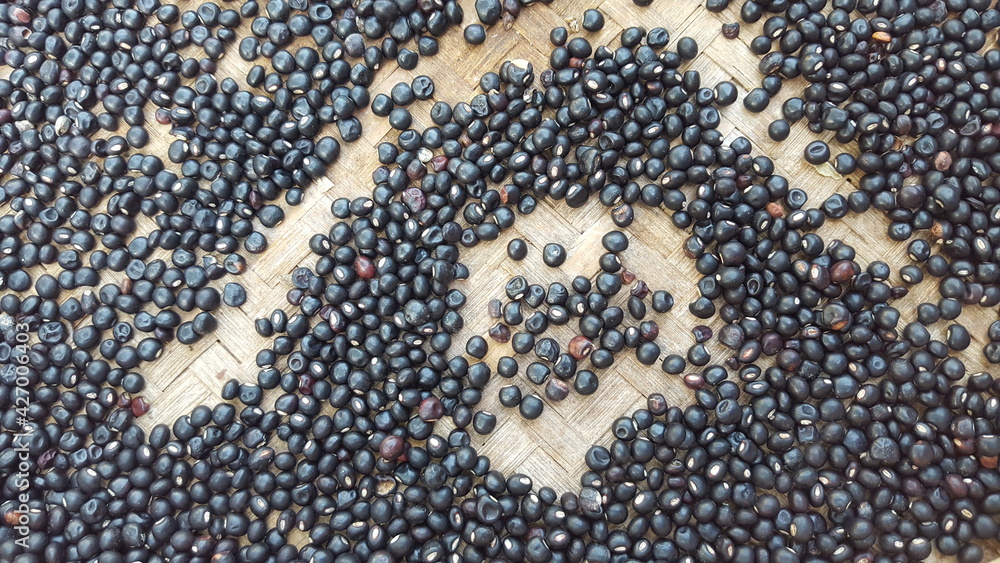 cajanus cajan seed details. suitable for backgrounds and wallpapers ...