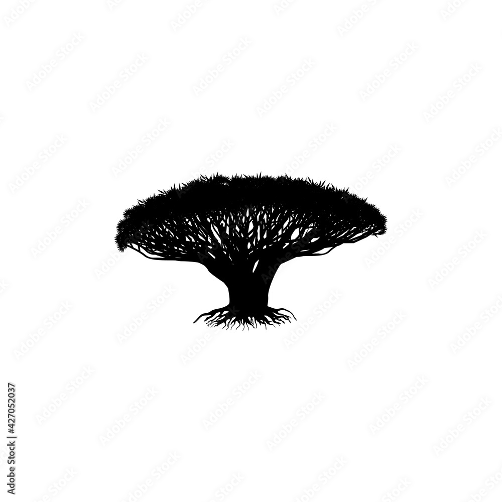 Socotra Island. Dragon Tree logo. Stock Vector | Adobe Stock
